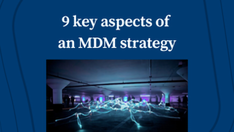 Master Data Management (MDM) Strategy & Free Template