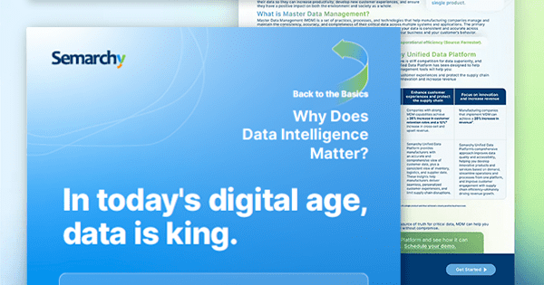 Back to the Basics: Why does Data Intelligence Matter? - Semarchy